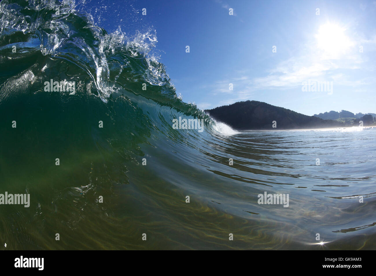 big large enormous Stock Photo - Alamy