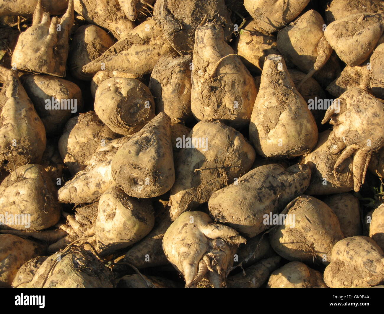 agrarian agriculture farming Stock Photo - Alamy