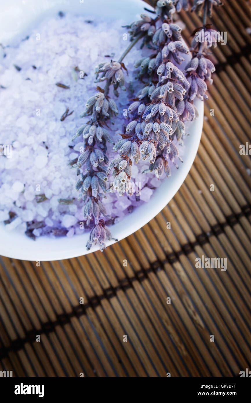 blue aromatic lavender Stock Photo - Alamy