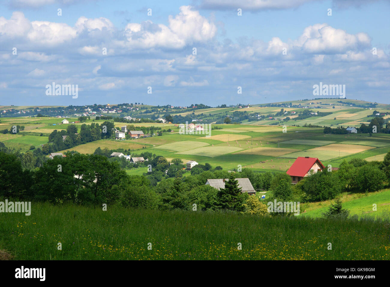 Polish Agriculture Stock Photos & Polish Agriculture Stock Images - Alamy