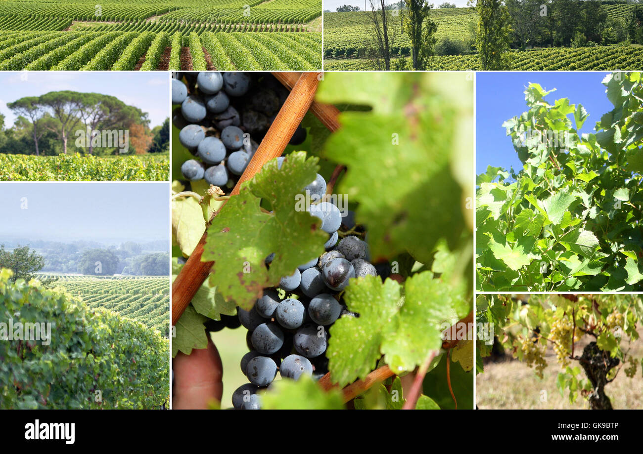 composition agriculture farming Stock Photo - Alamy