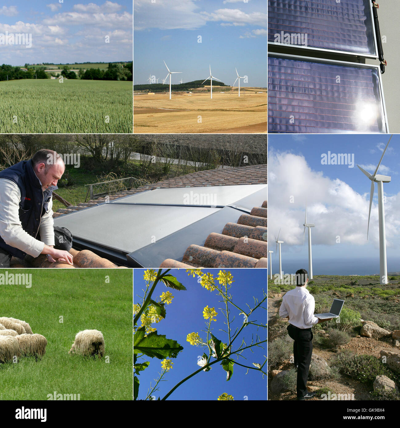 Ecology collage hi-res stock photography and images - Alamy