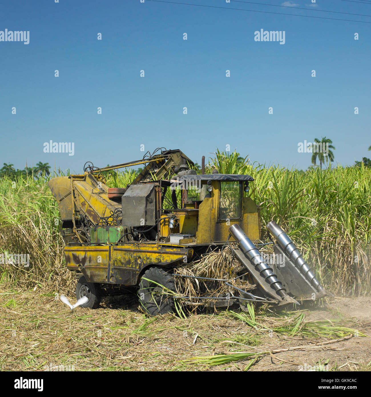 Sugar Cane Harvester Stock Photos & Sugar Cane Harvester Stock Images ...