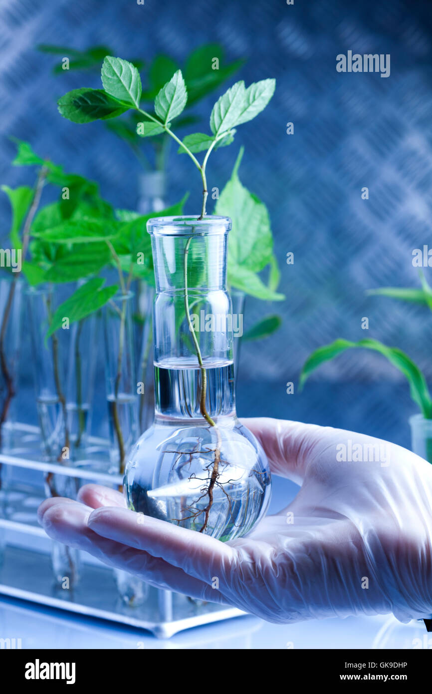 ecology laboratory chemistry Stock Photo - Alamy