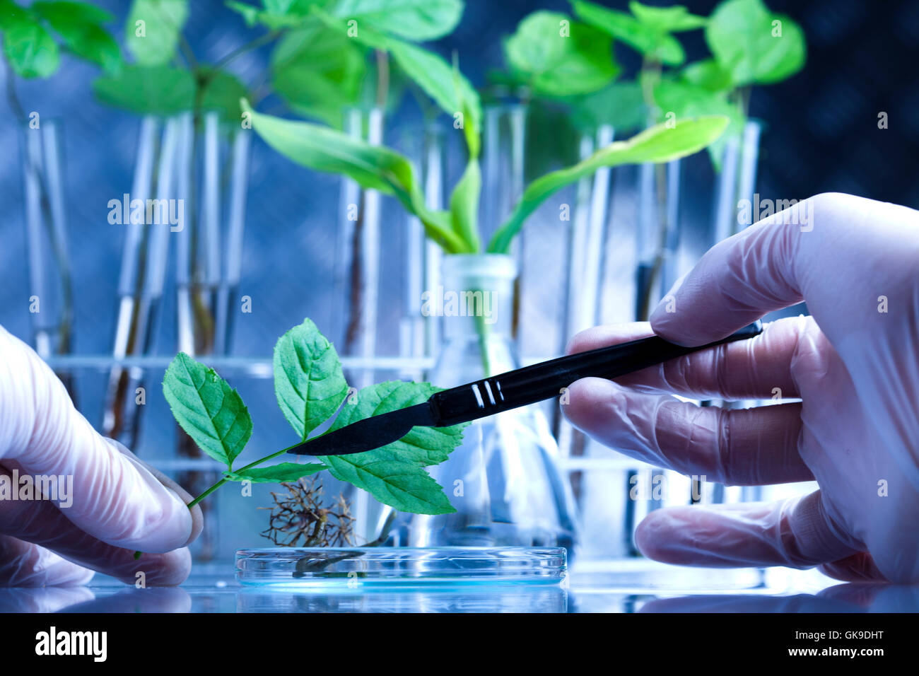 ecology laboratory chemistry Stock Photo - Alamy