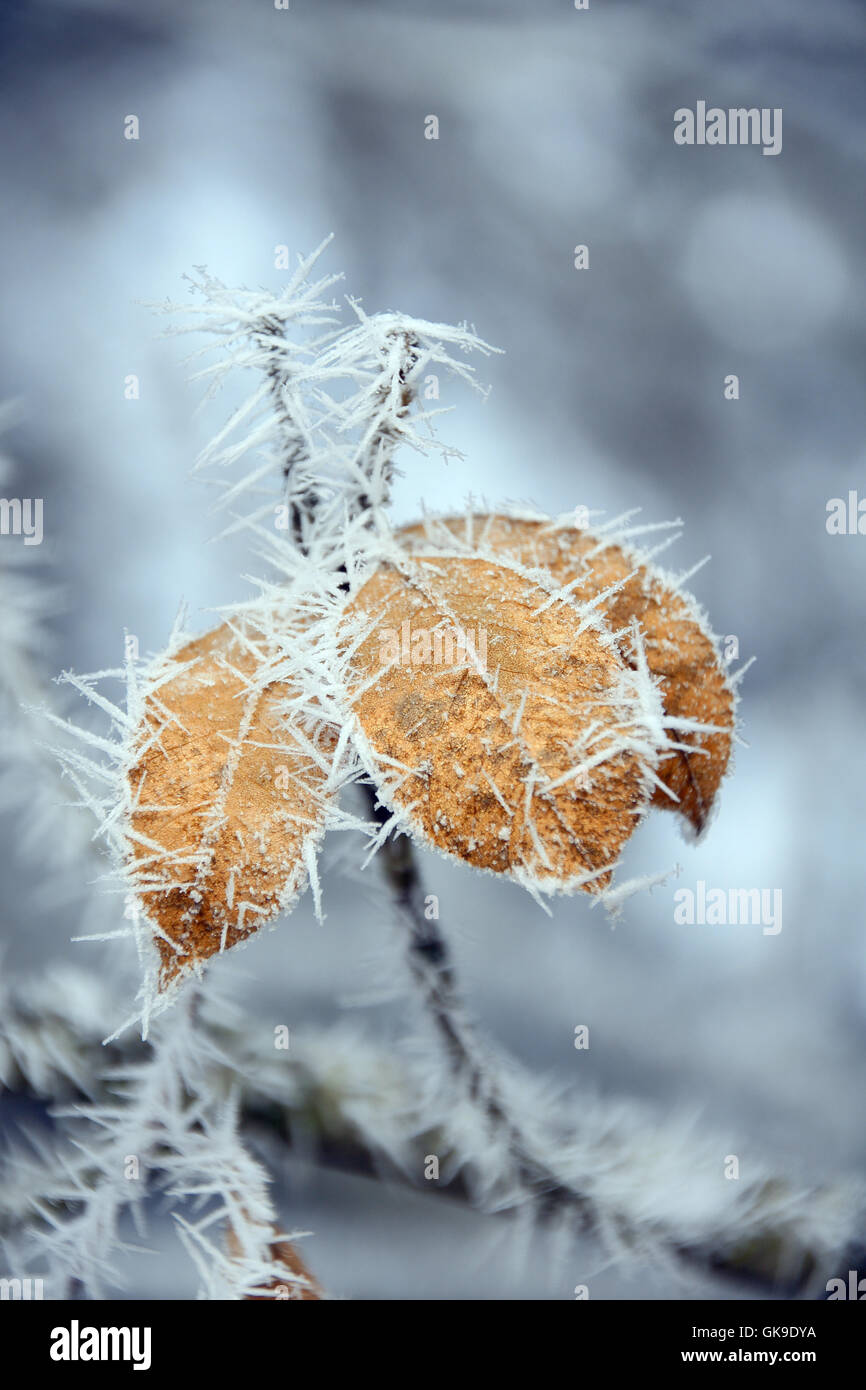 Ice and snow images hi-res stock photography and images - Alamy