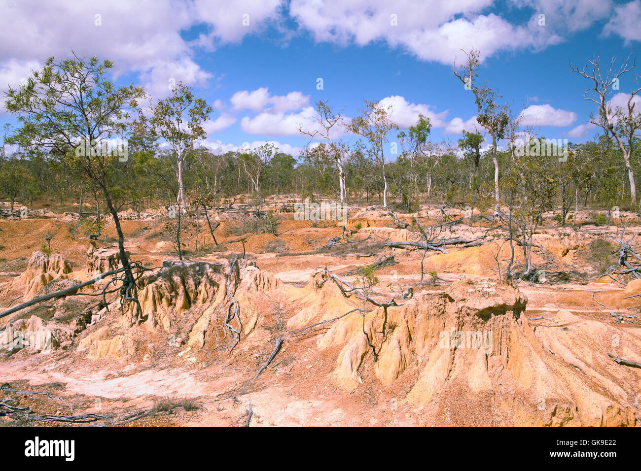 desert wasteland ground Stock Photo - Alamy