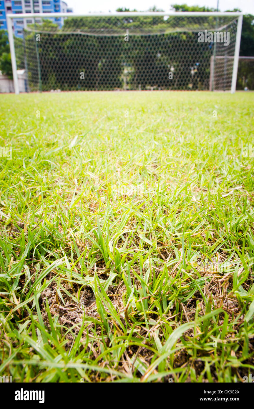 Sports plan hi-res stock photography and images - Alamy