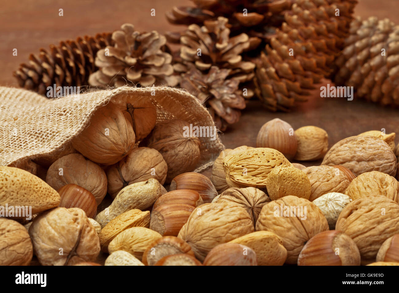sack isolated shell Stock Photo - Alamy