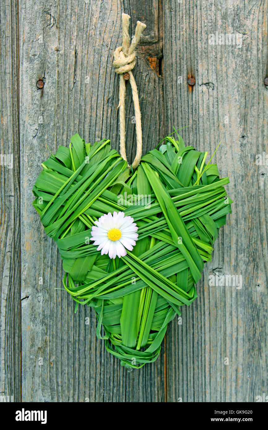 Grash hi-res stock photography and images - Alamy