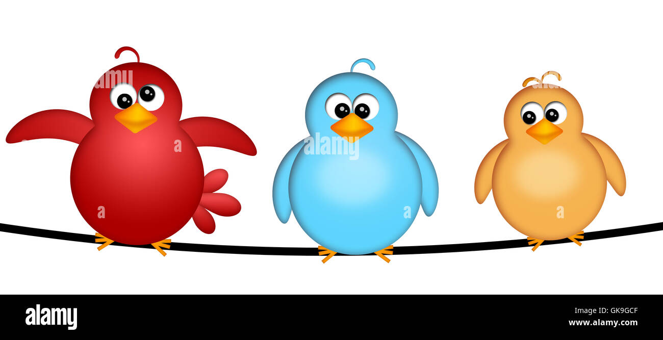 blue birds trio Stock Photo - Alamy