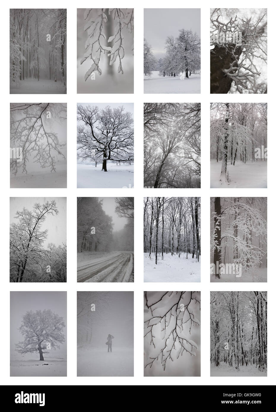 Beautiful bw Cut Out Stock Images & Pictures - Alamy