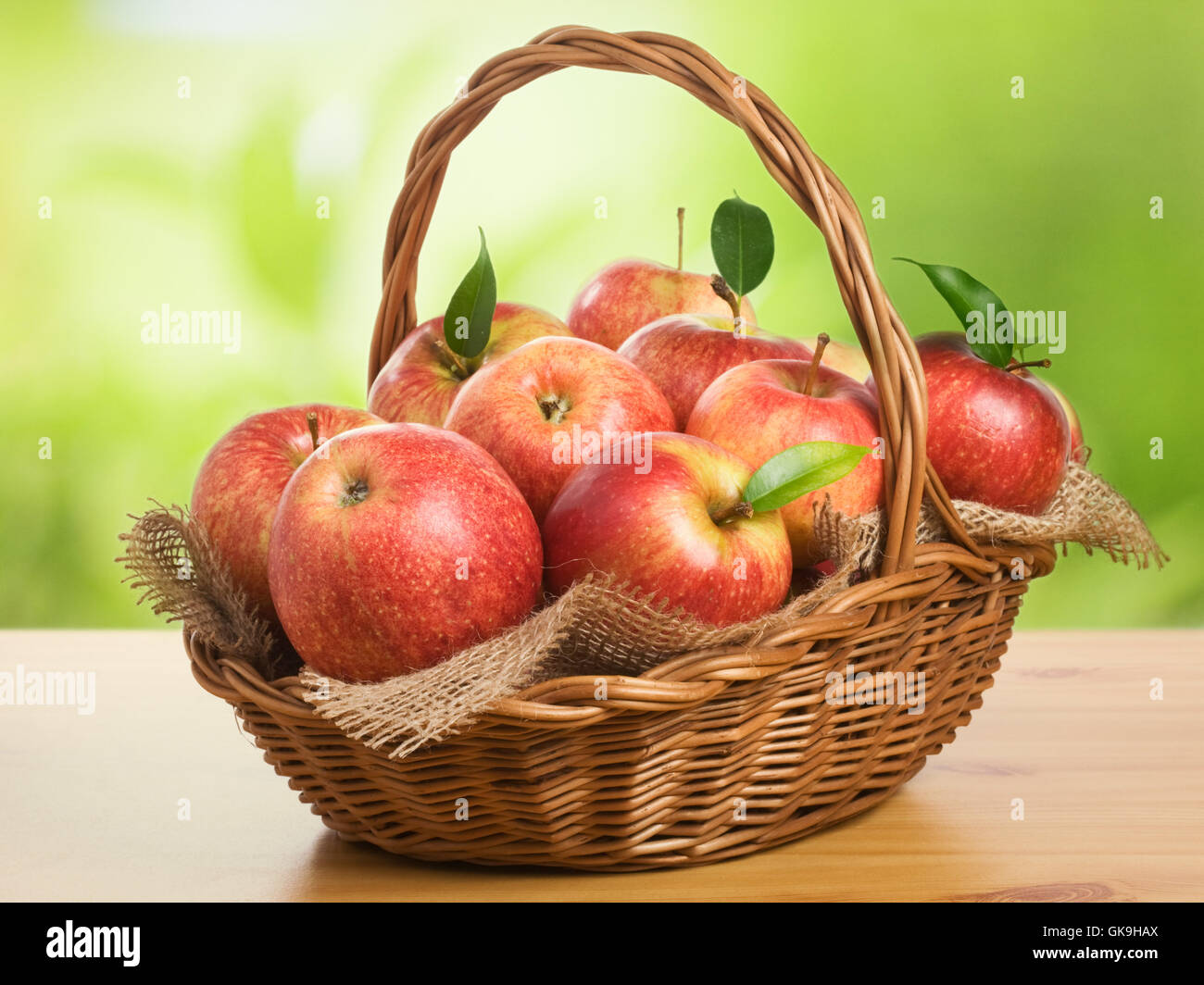 still life leaf closeup Stock Photo - Alamy