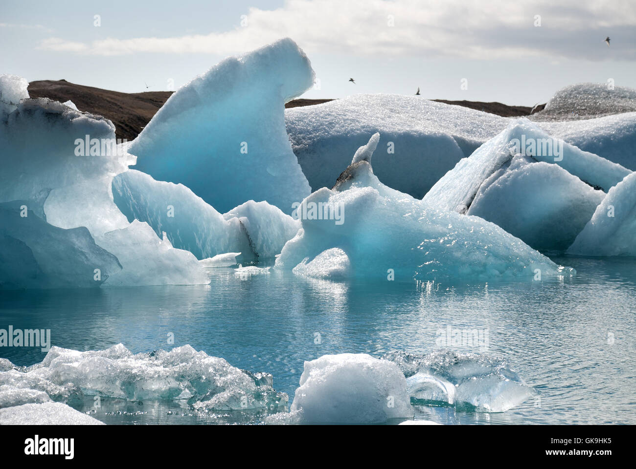 environment enviroment arctic Stock Photo - Alamy