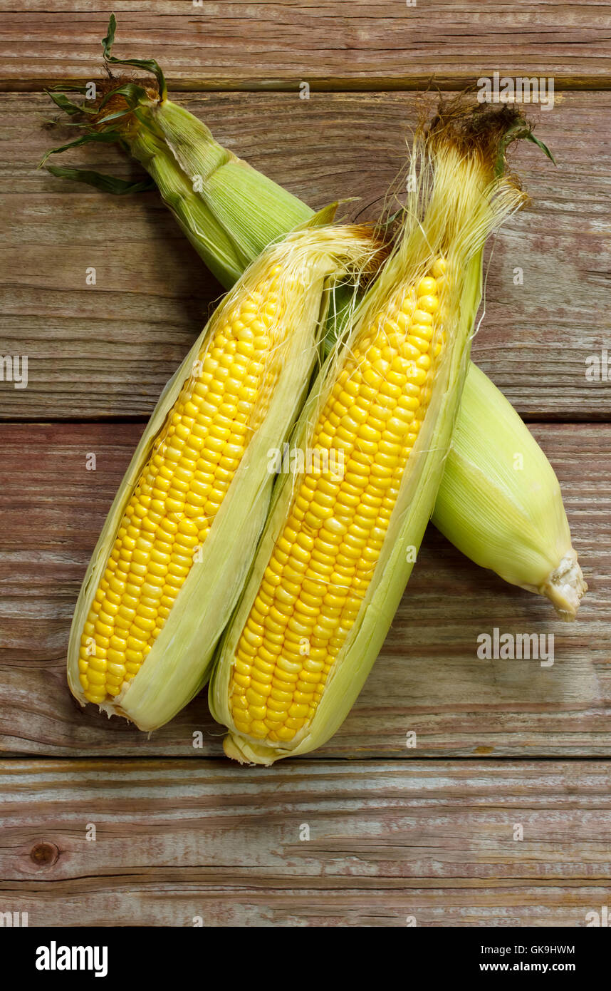 Grain of corn hi-res stock photography and images - Alamy