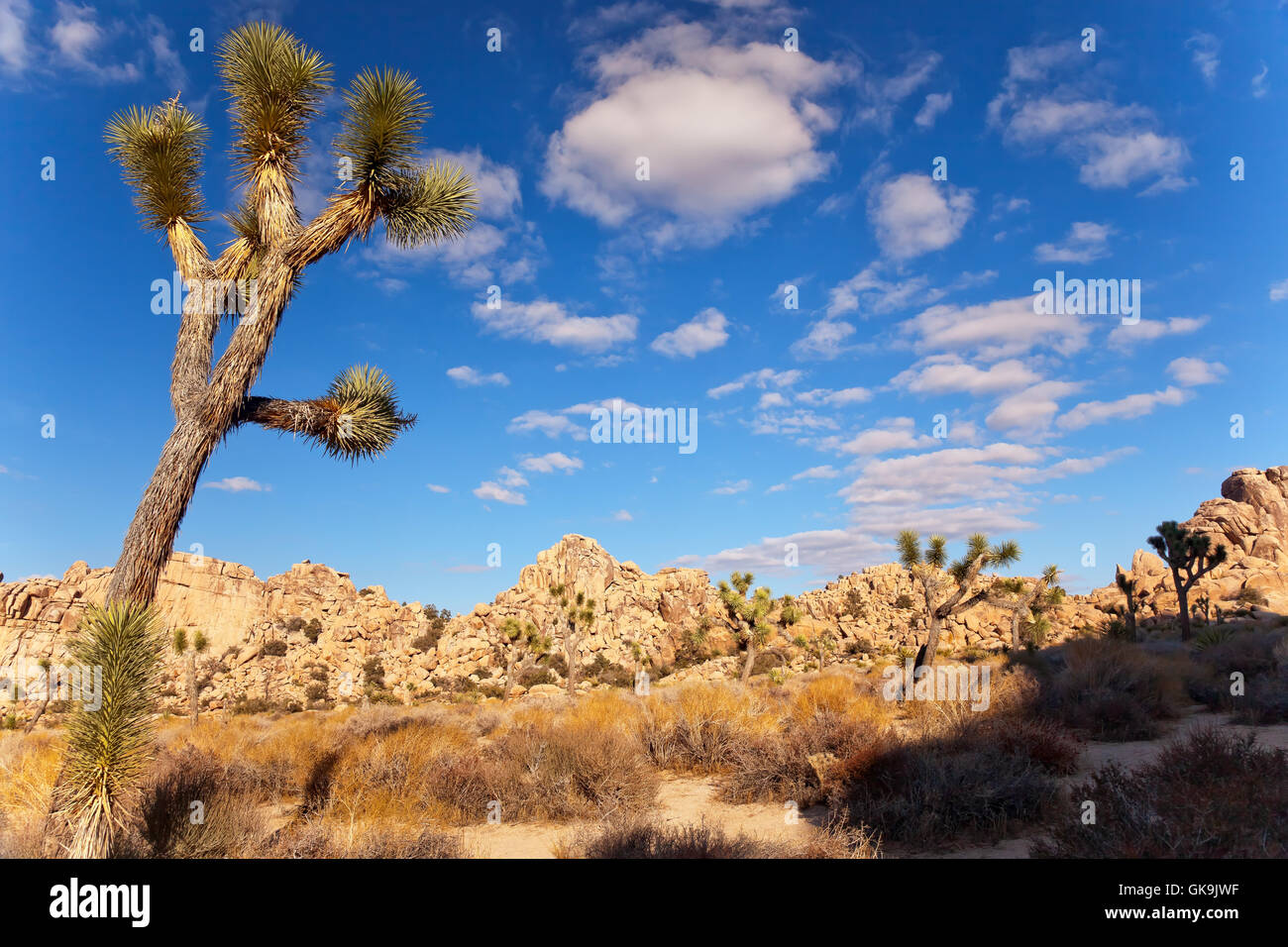 california rocks travel Stock Photo - Alamy