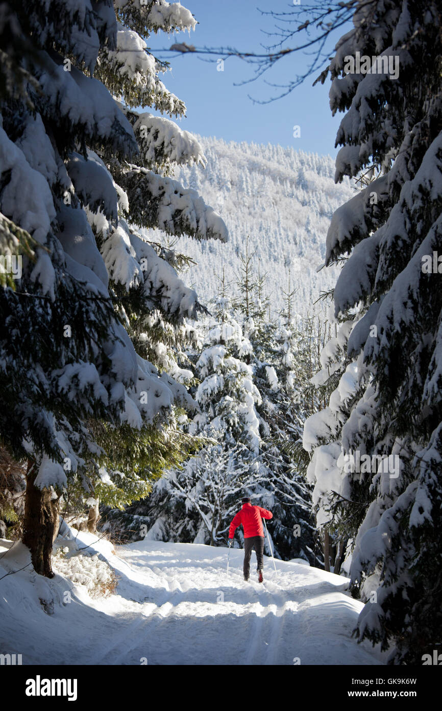 winter snow coke Stock Photo - Alamy
