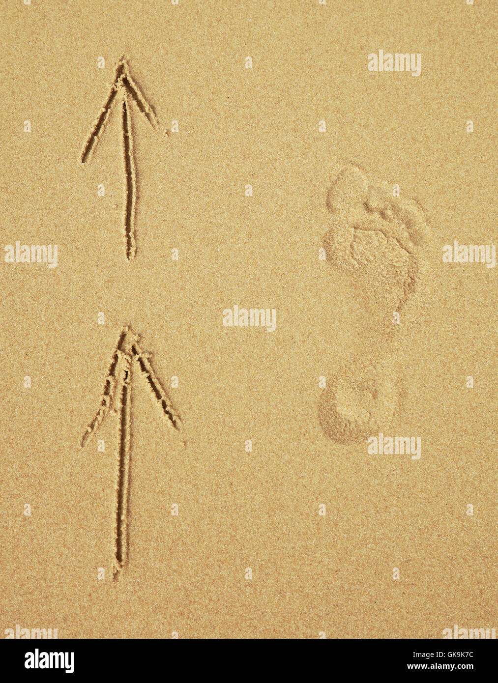 object photo camera Stock Photo - Alamy