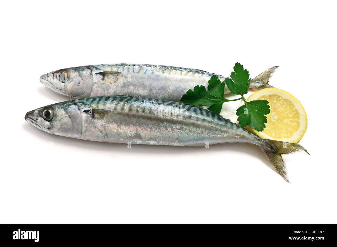 animal angle fish Stock Photo - Alamy