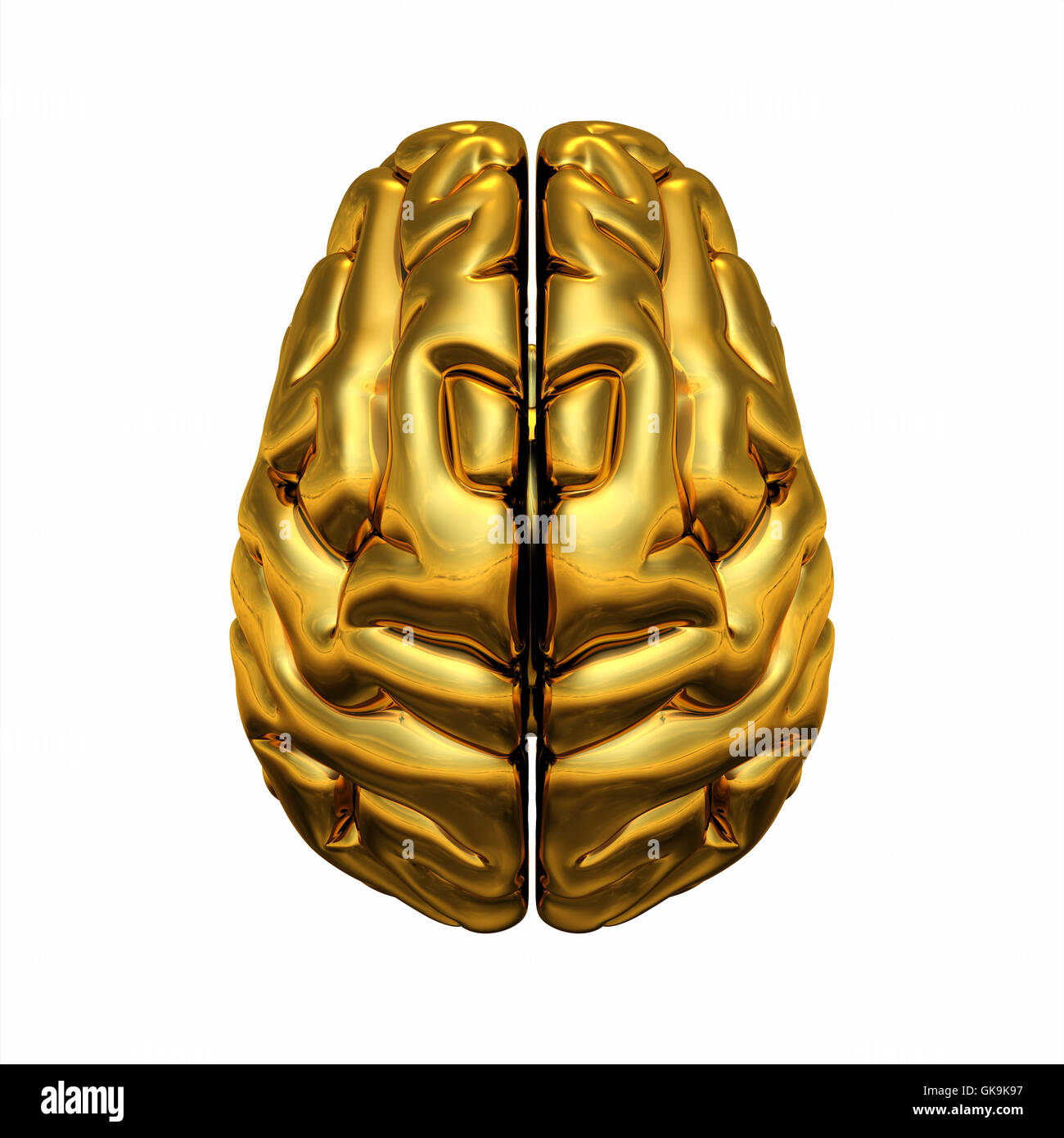 gold brain - top view Stock Photo - Alamy