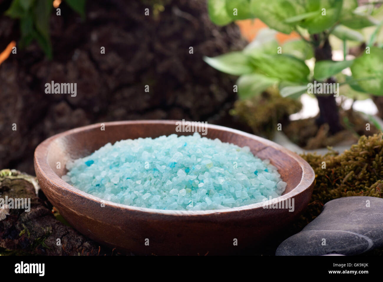 flower plant cream Stock Photo - Alamy