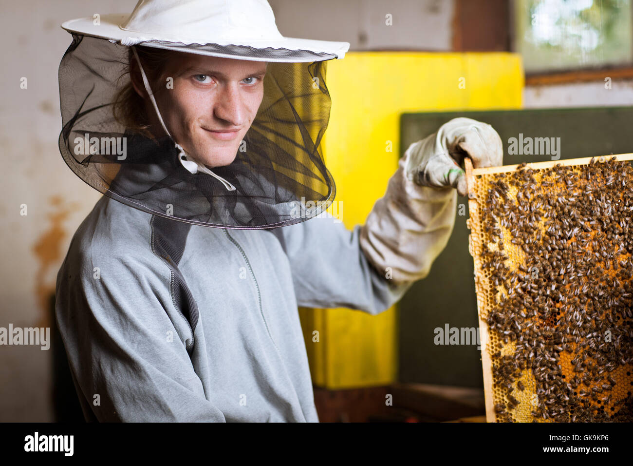 The apiary school hi-res stock photography and images - Alamy