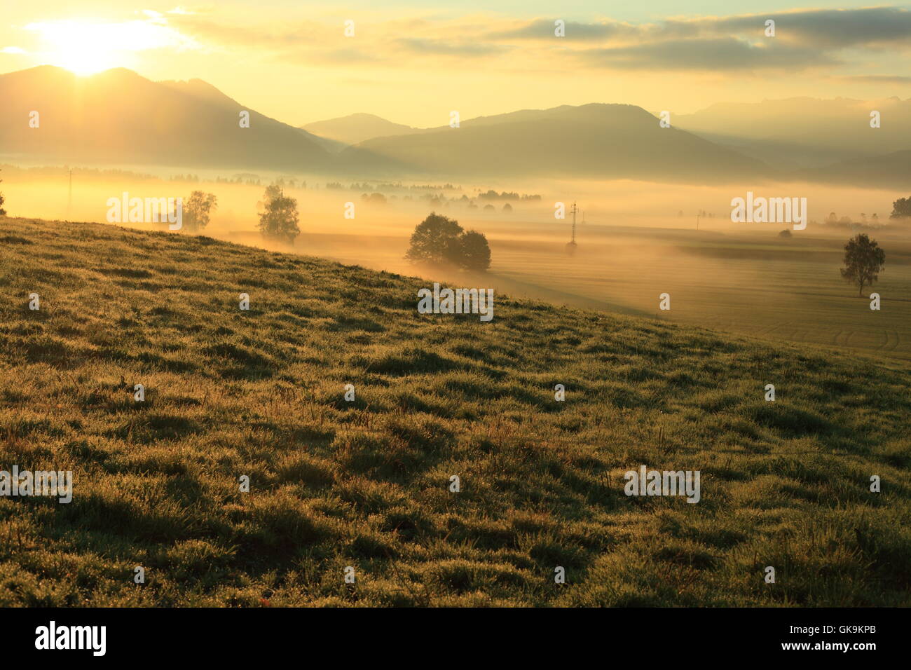 Lighted morning light hi-res stock photography and images - Alamy