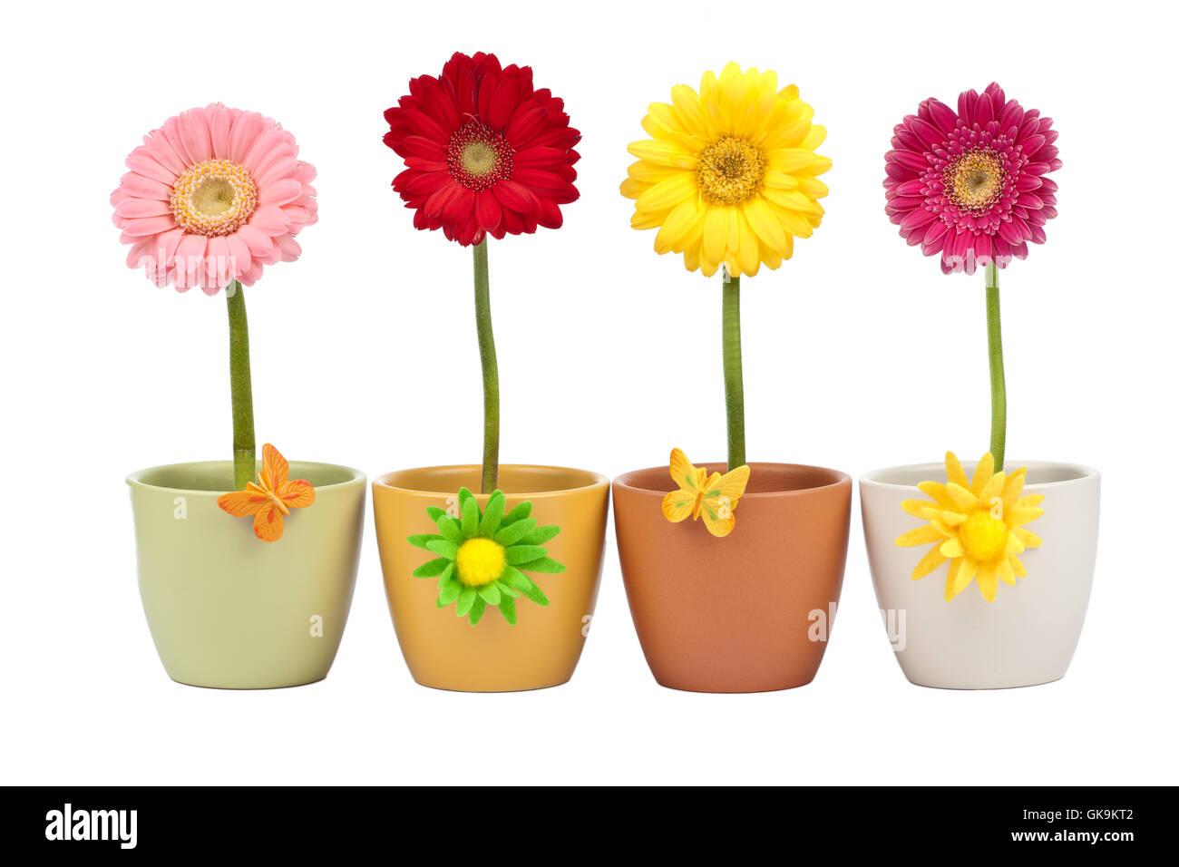 Four petal flowers hi-res stock photography and images - Alamy