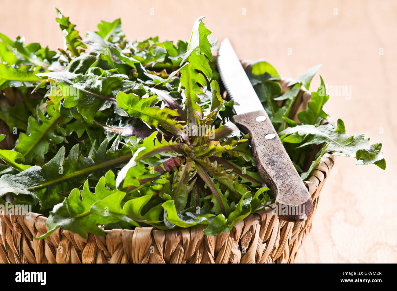 Spring Bouncing Bounces High Resolution Stock Photography and Images ...