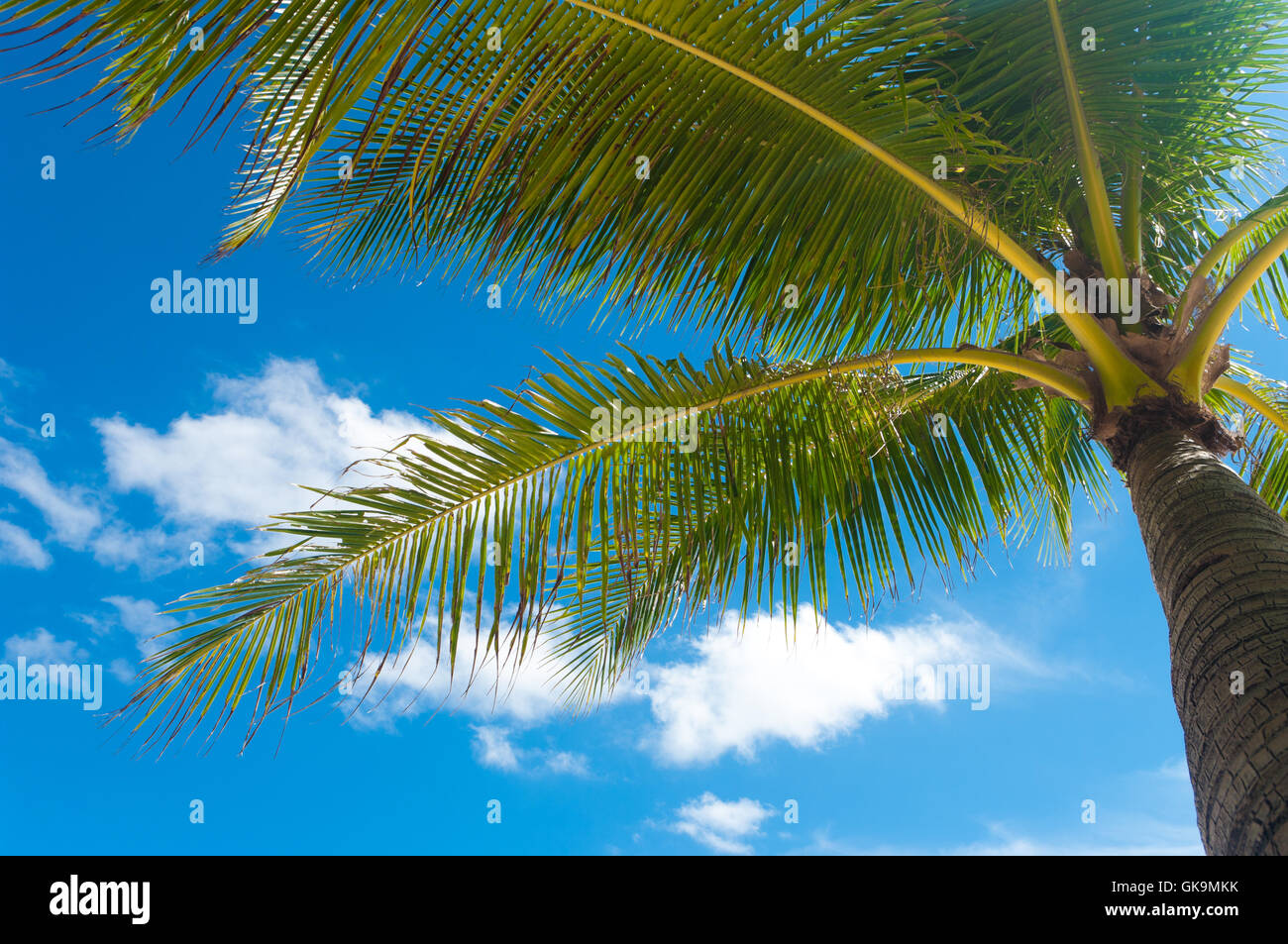 Blue water exotic location tourism hi-res stock photography and images ...