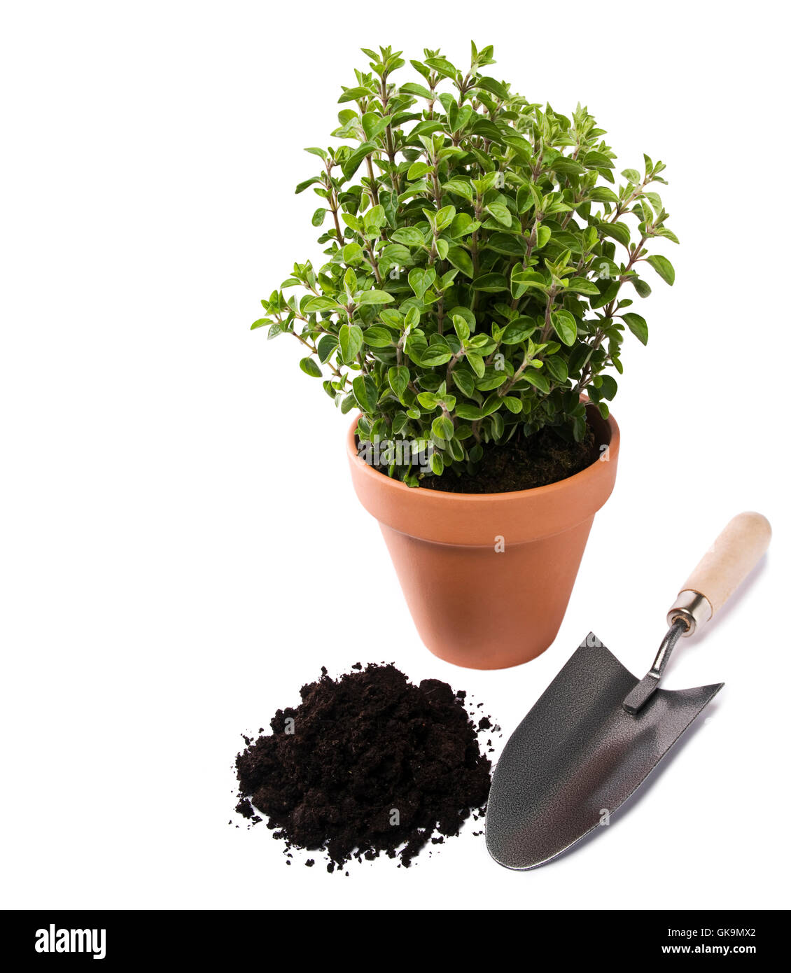 Lawn ground Cut Out Stock Images & Pictures - Alamy