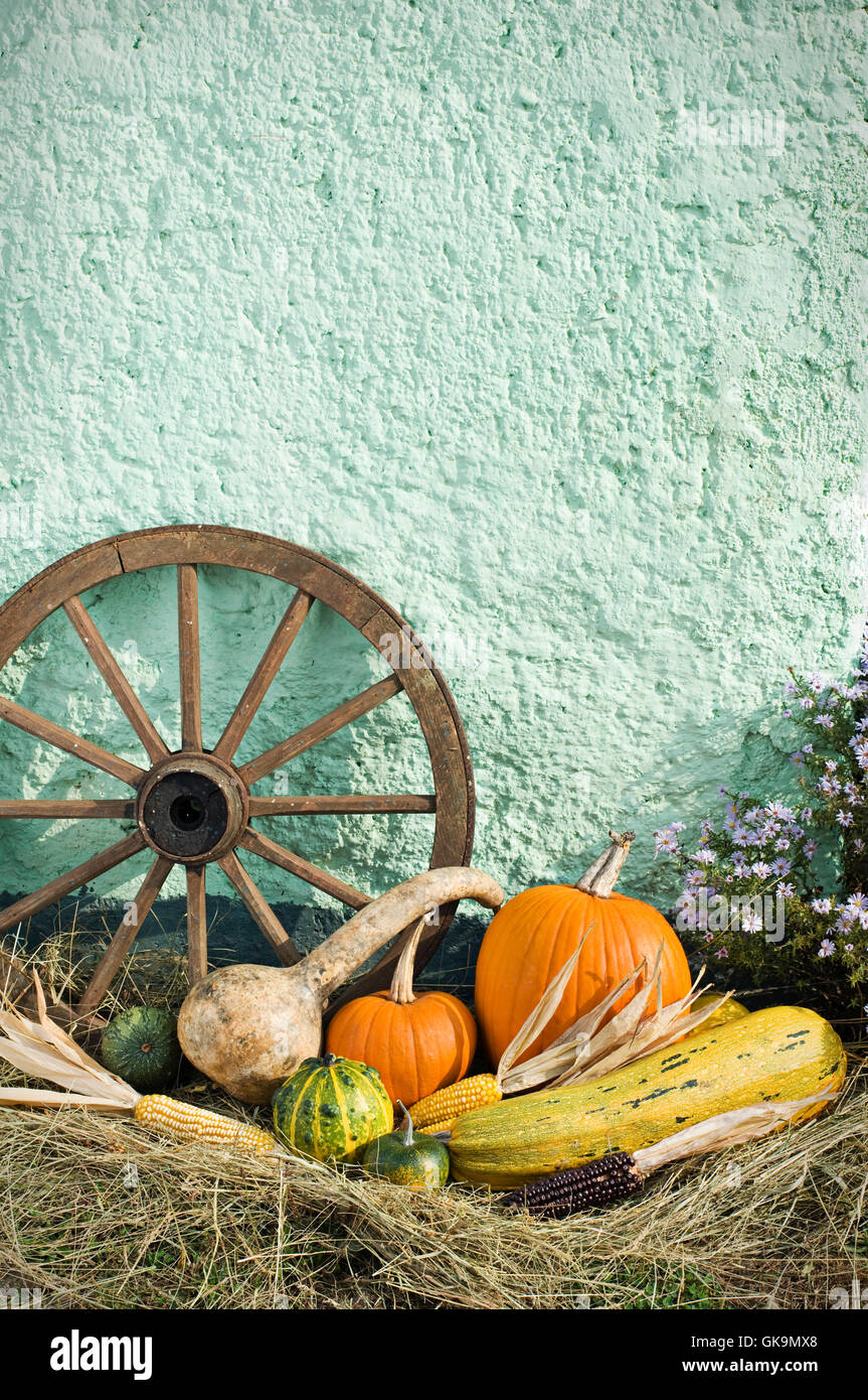 agriculture farming halloween Stock Photo - Alamy