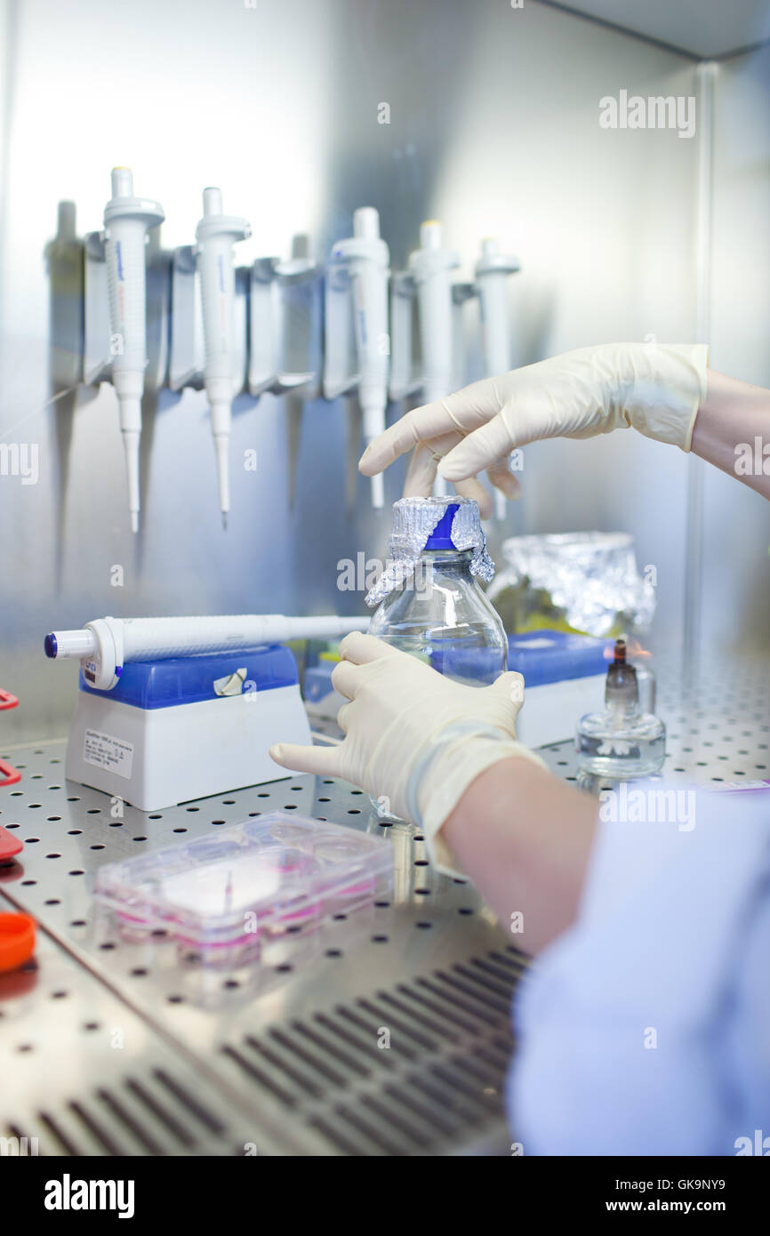 experiment science research Stock Photo - Alamy