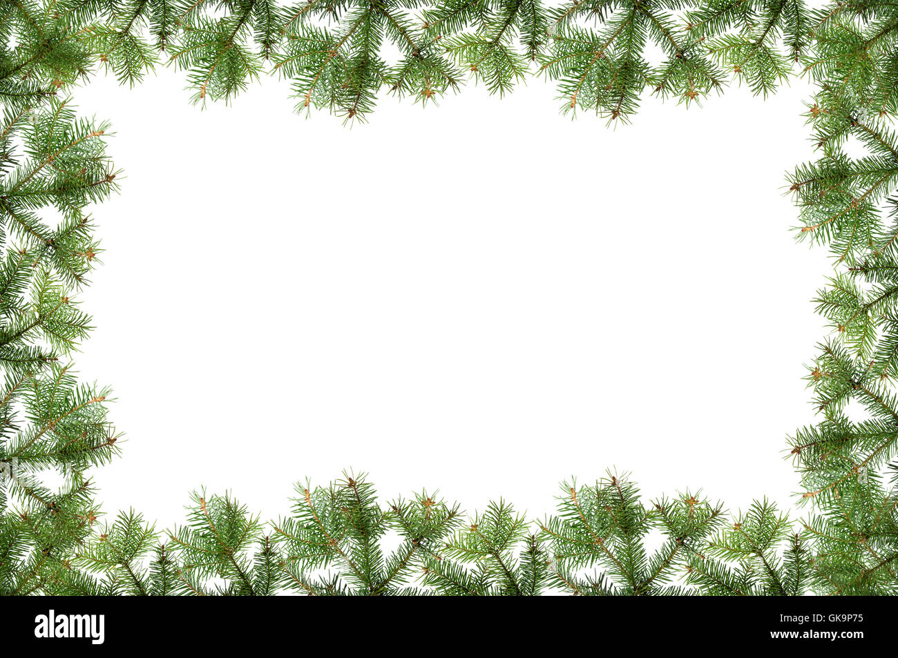 isolated tree branch Stock Photo - Alamy