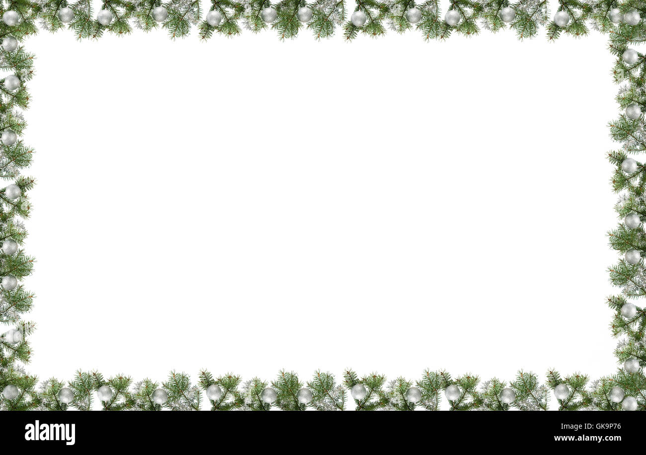 isolated tree branch Stock Photo - Alamy