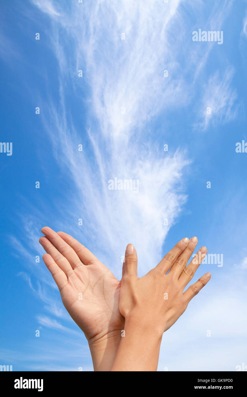 Hand gesture bird hi-res stock photography and images - Alamy