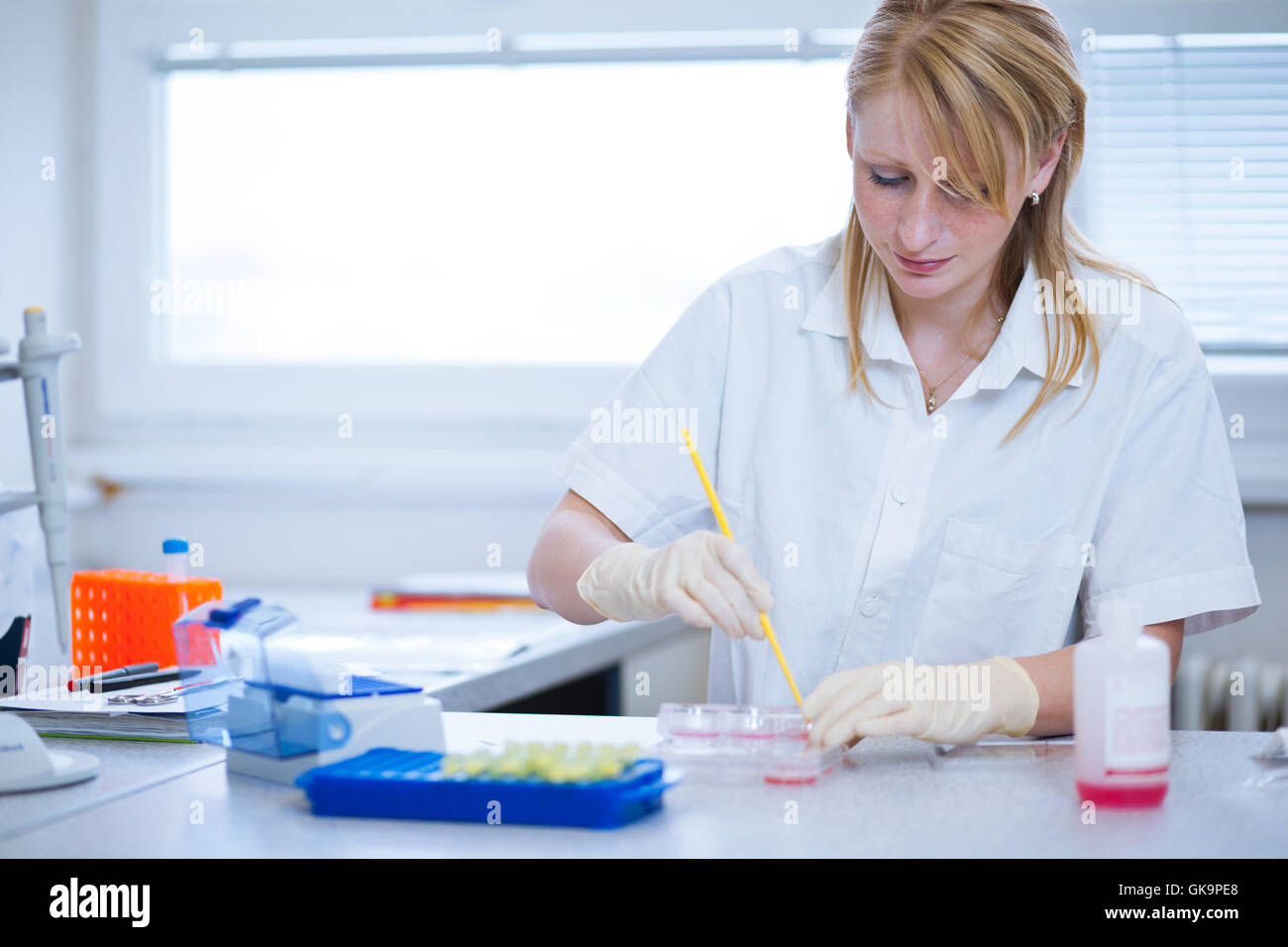 science research laboratory Stock Photo - Alamy