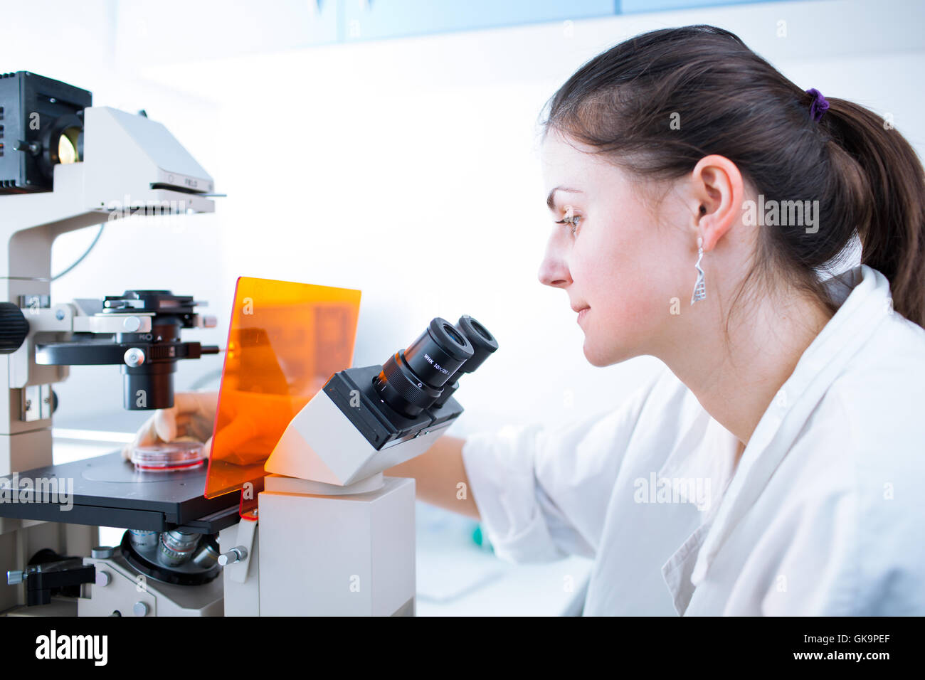 science research laboratory Stock Photo - Alamy