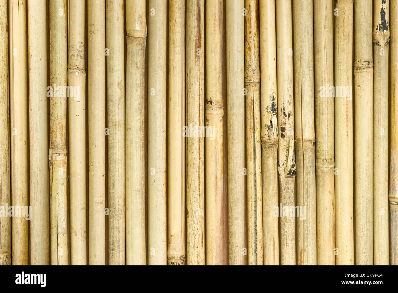 curtain bamboo asian Stock Photo - Alamy