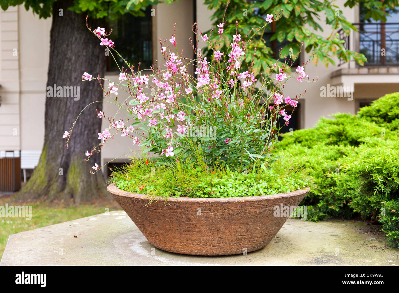 Queen Anne's summer palace, Prague Castle, Prague Stock Photo - Alamy