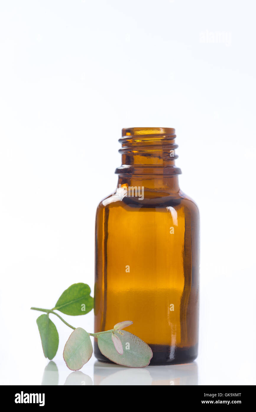 lemon vervain , verbena essential oil naturopathy Stock Photo - Alamy