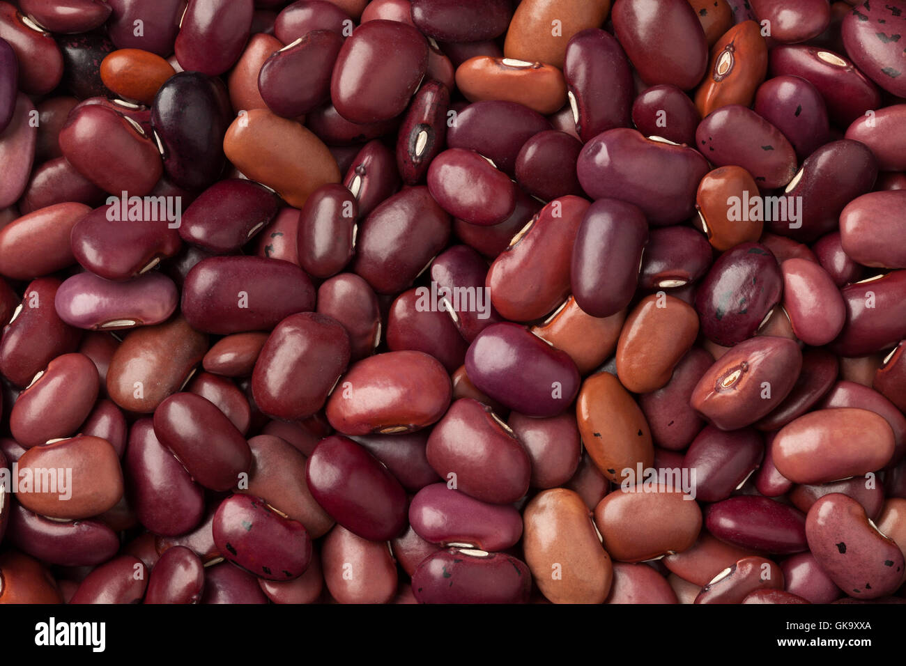 Mexico aztec beans hi-res stock photography and images - Alamy