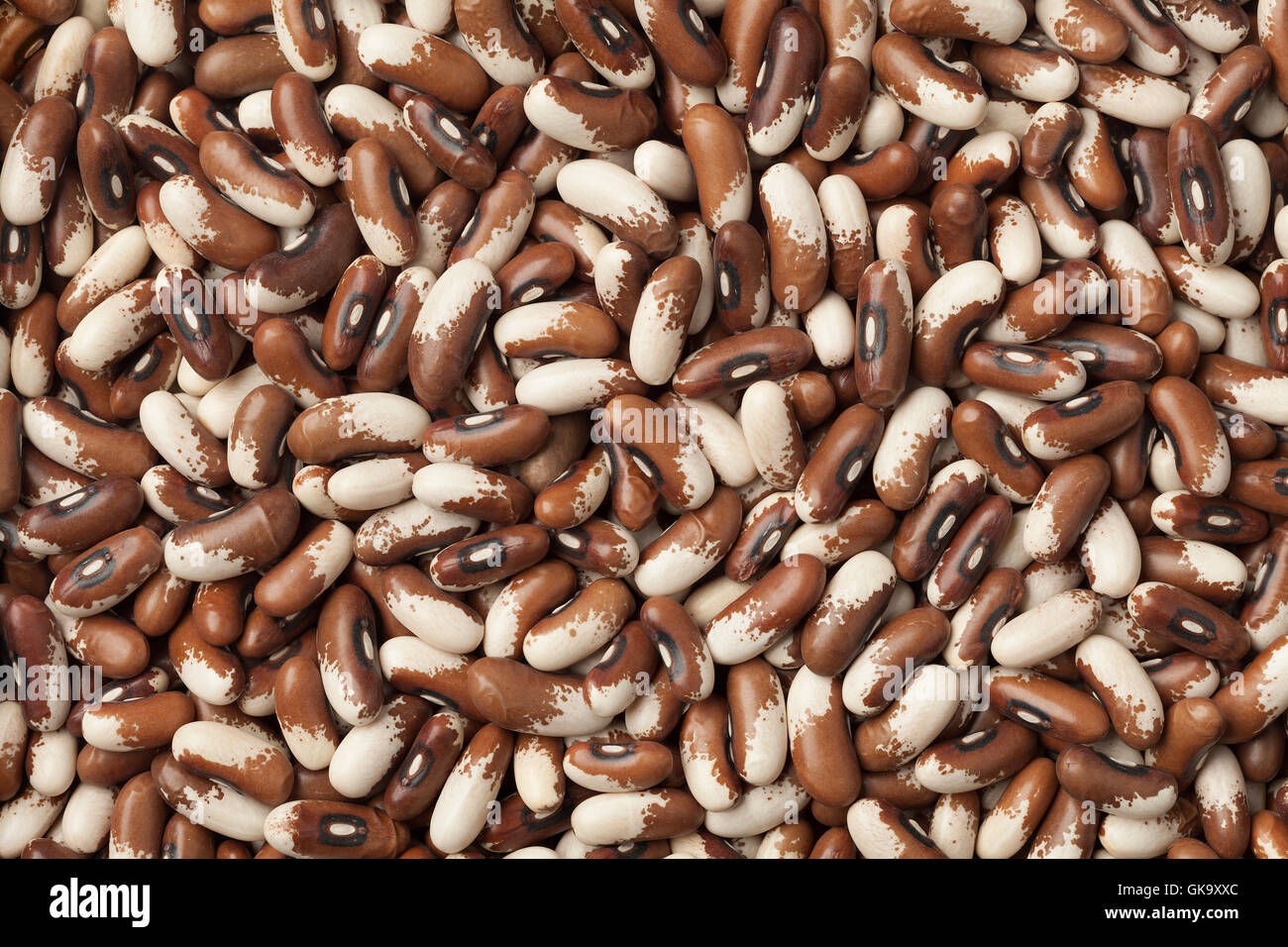 Painted pony hi-res stock photography and images - Alamy