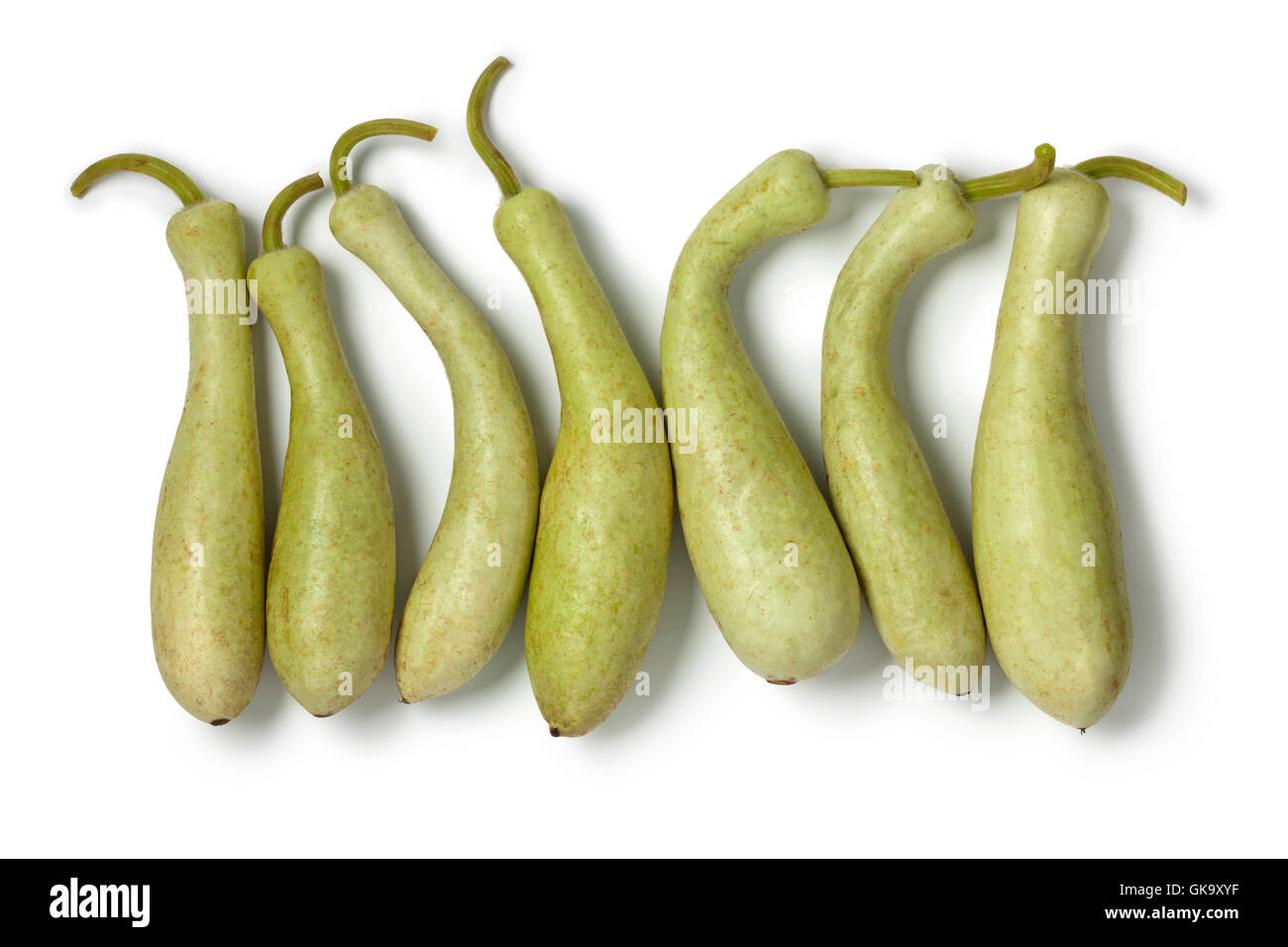 Row of fresh Moroccan bottle gourds on white background Stock Photo - Alamy