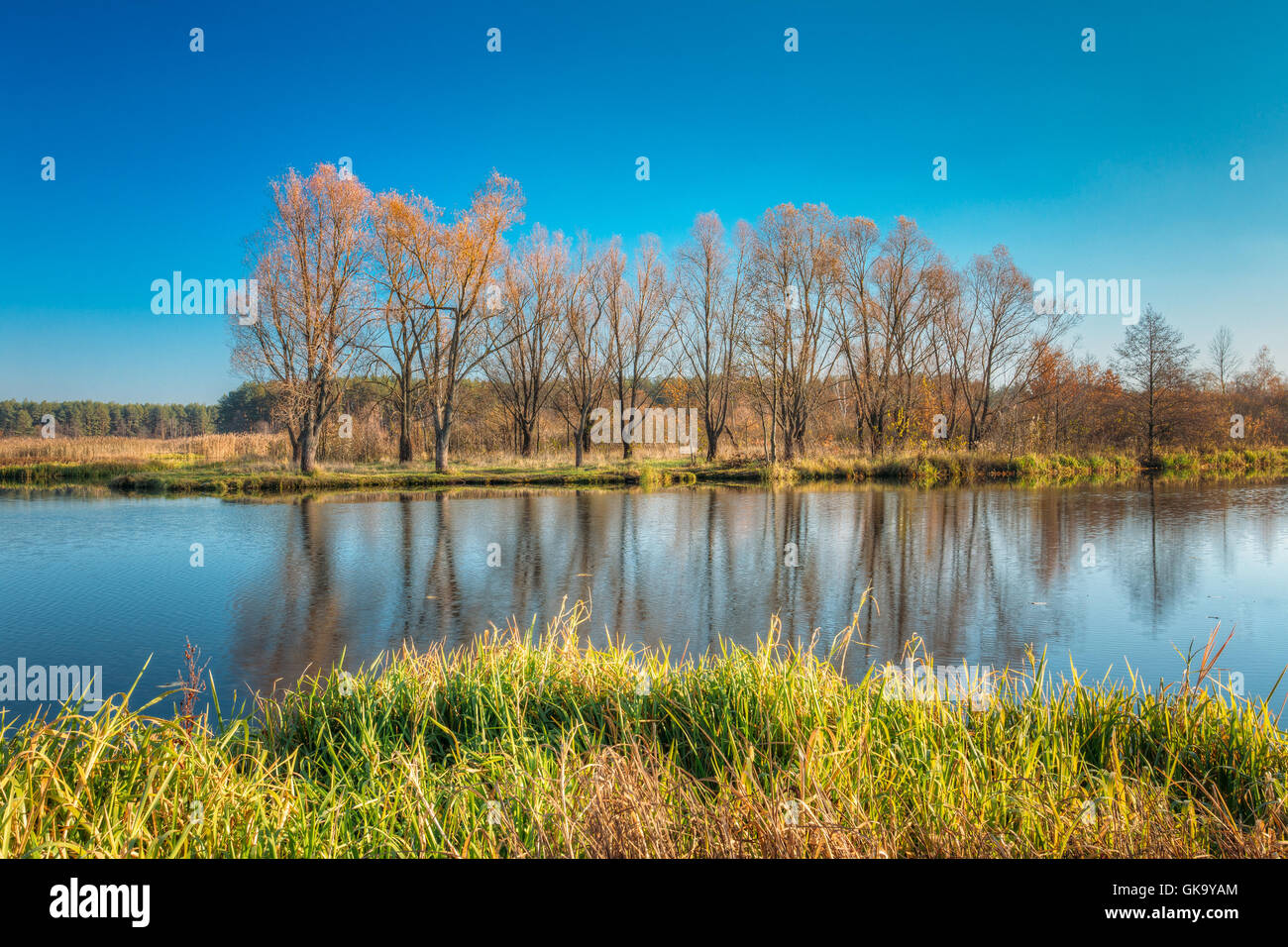 The Scenic Autumn Fall River Landscape In Sunny Morning Day Stock Photo ...