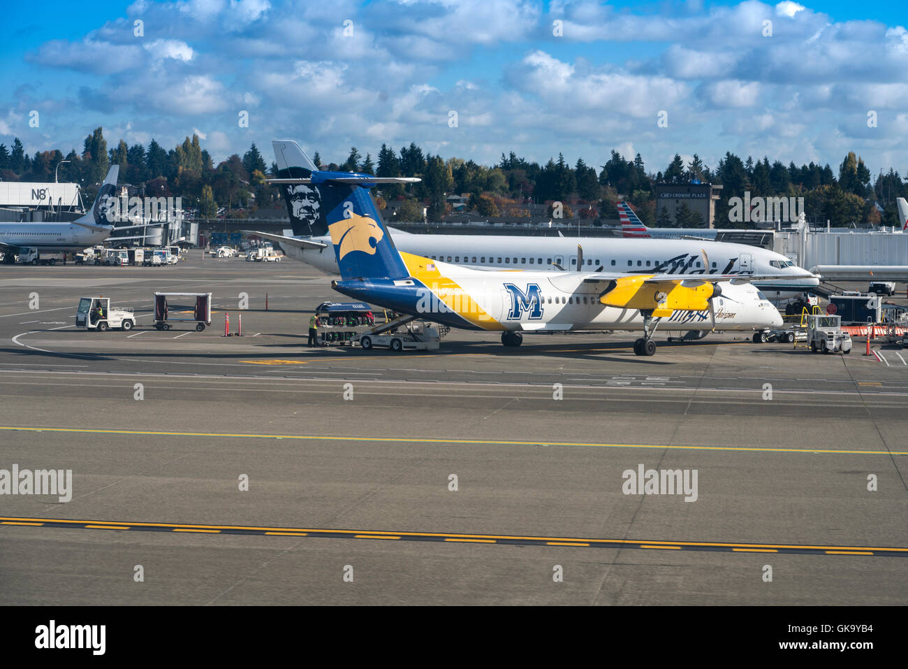 Seattle / Washington aircraft at the airport Stock Photo - Alamy