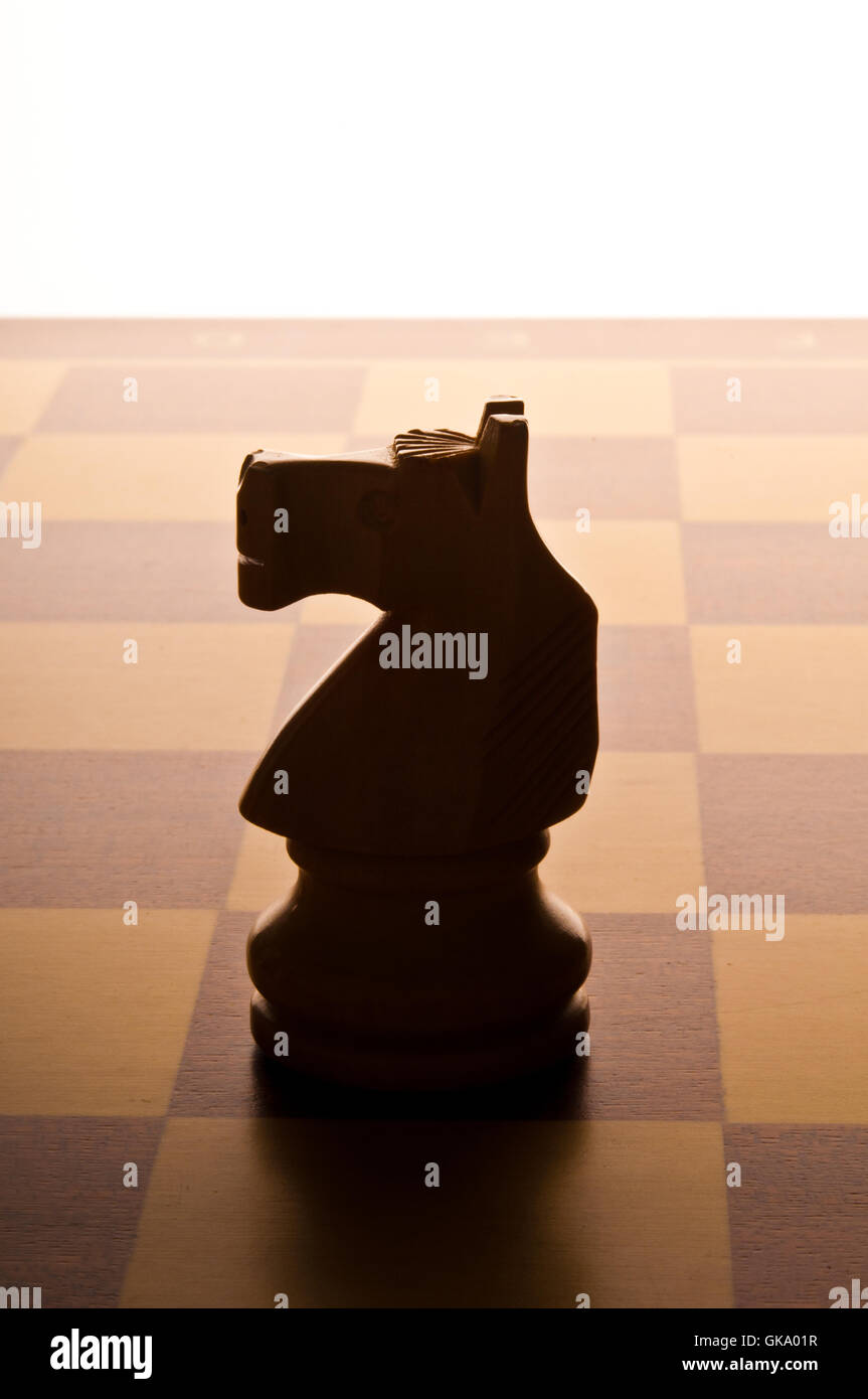 chess Knight on the chessboard Stock Photo - Alamy