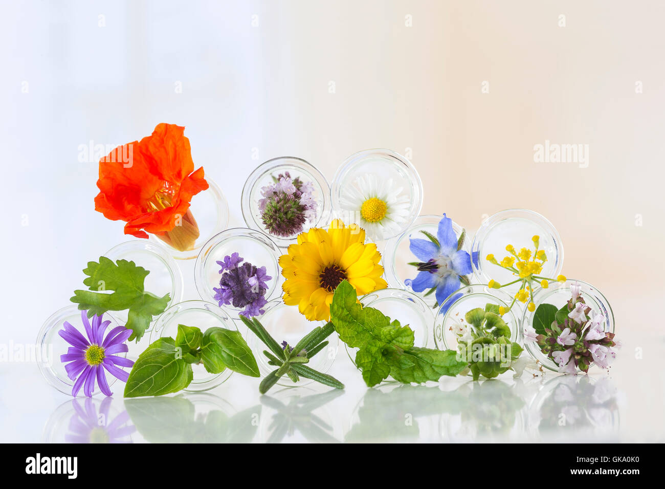 Flowers in test-tubes isolated on white Stock Photo - Alamy