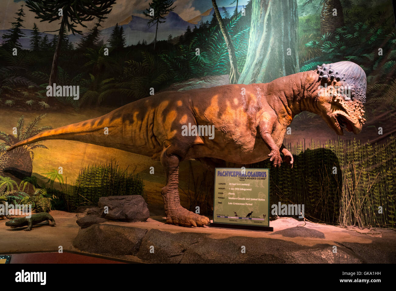 Dinosaur models of the Pacific Science Center, Seattle Stock Photo - Alamy