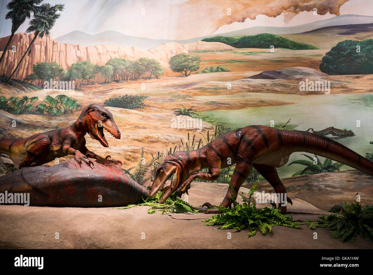 Dinosaur models of the Pacific Science Center, Seattle Stock Photo - Alamy
